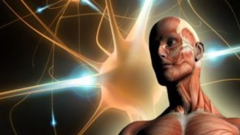 Bio Tech Energy Patches – The BioEnergy Patch is a complementary ...